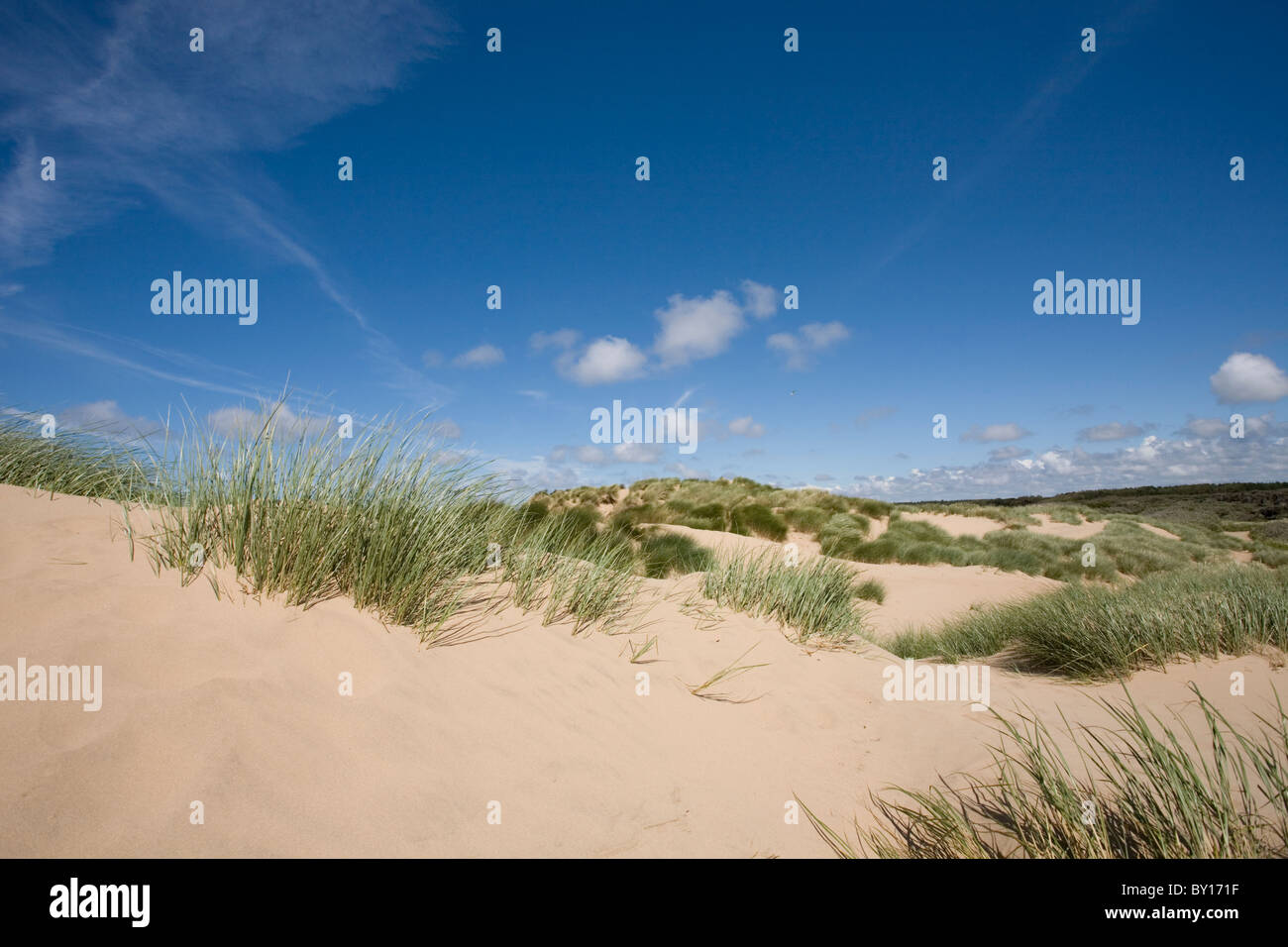Sand Dunes, Formby Beach, Merseyside, England Stock Photo - Alamy