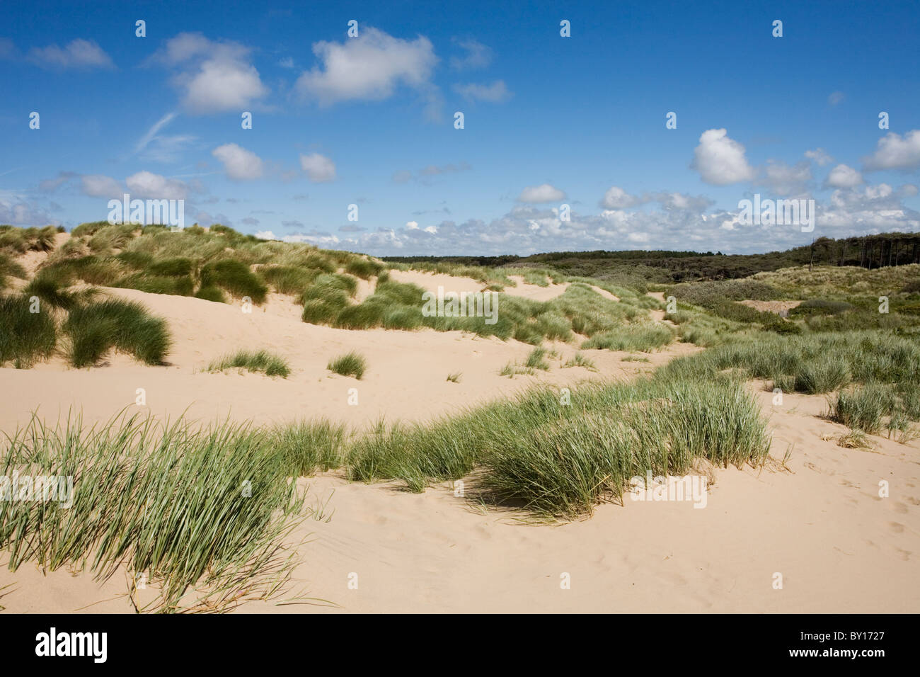 Formby national trust hi-res stock photography and images - Alamy