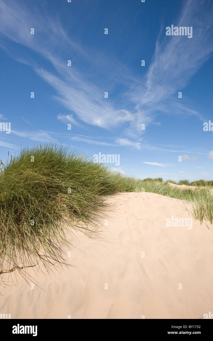 Sand Dunes, Formby Beach, Merseyside, England Stock Photo - Alamy