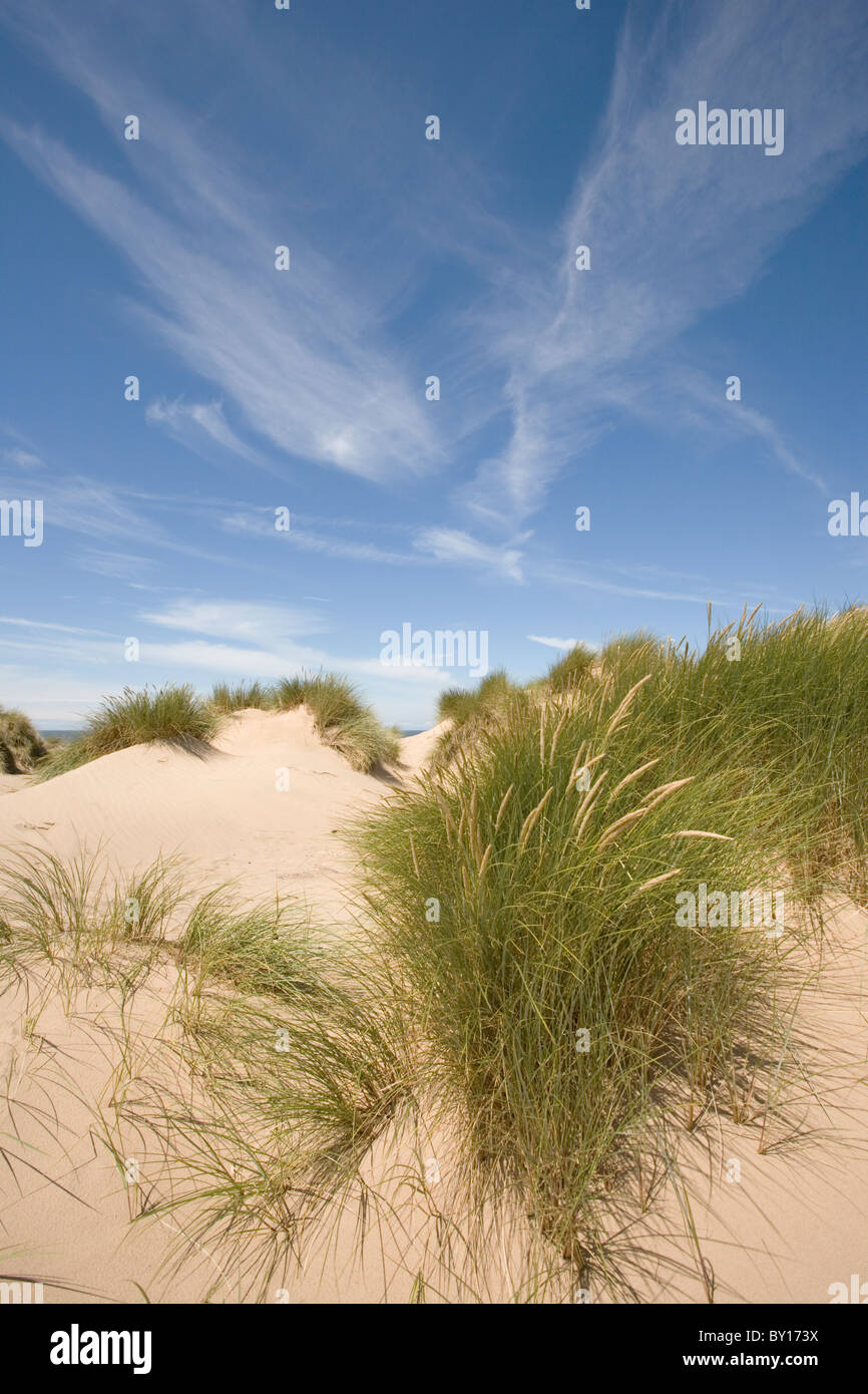 Formby National Trust High Resolution Stock Photography and Images - Alamy