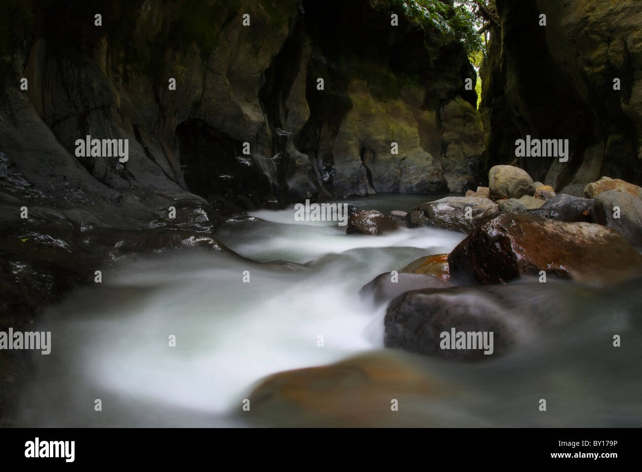 Water in narrow river hi-res stock photography and images - Alamy