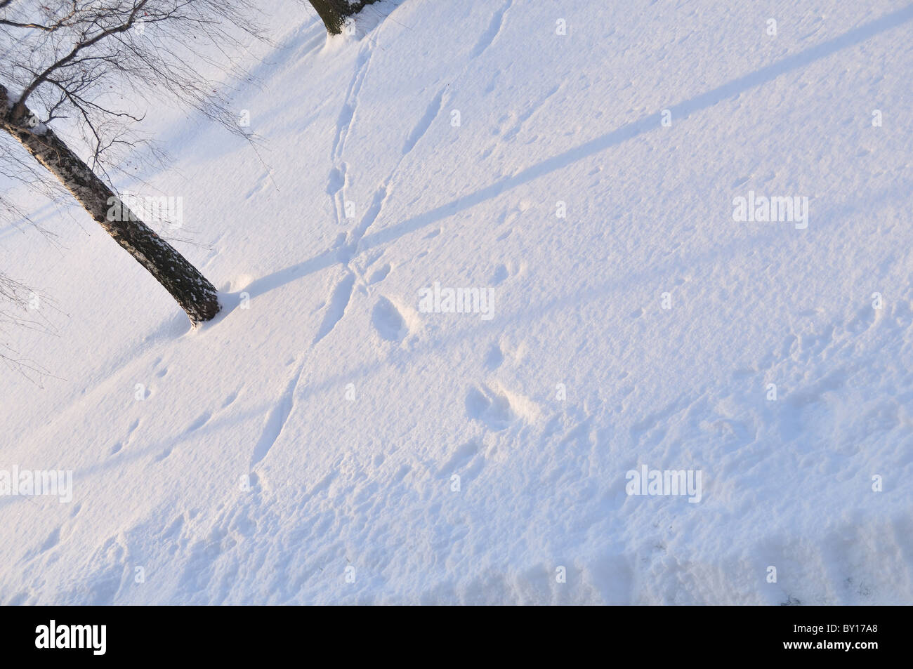 Footprints in fresh snow Stock Photo - Alamy