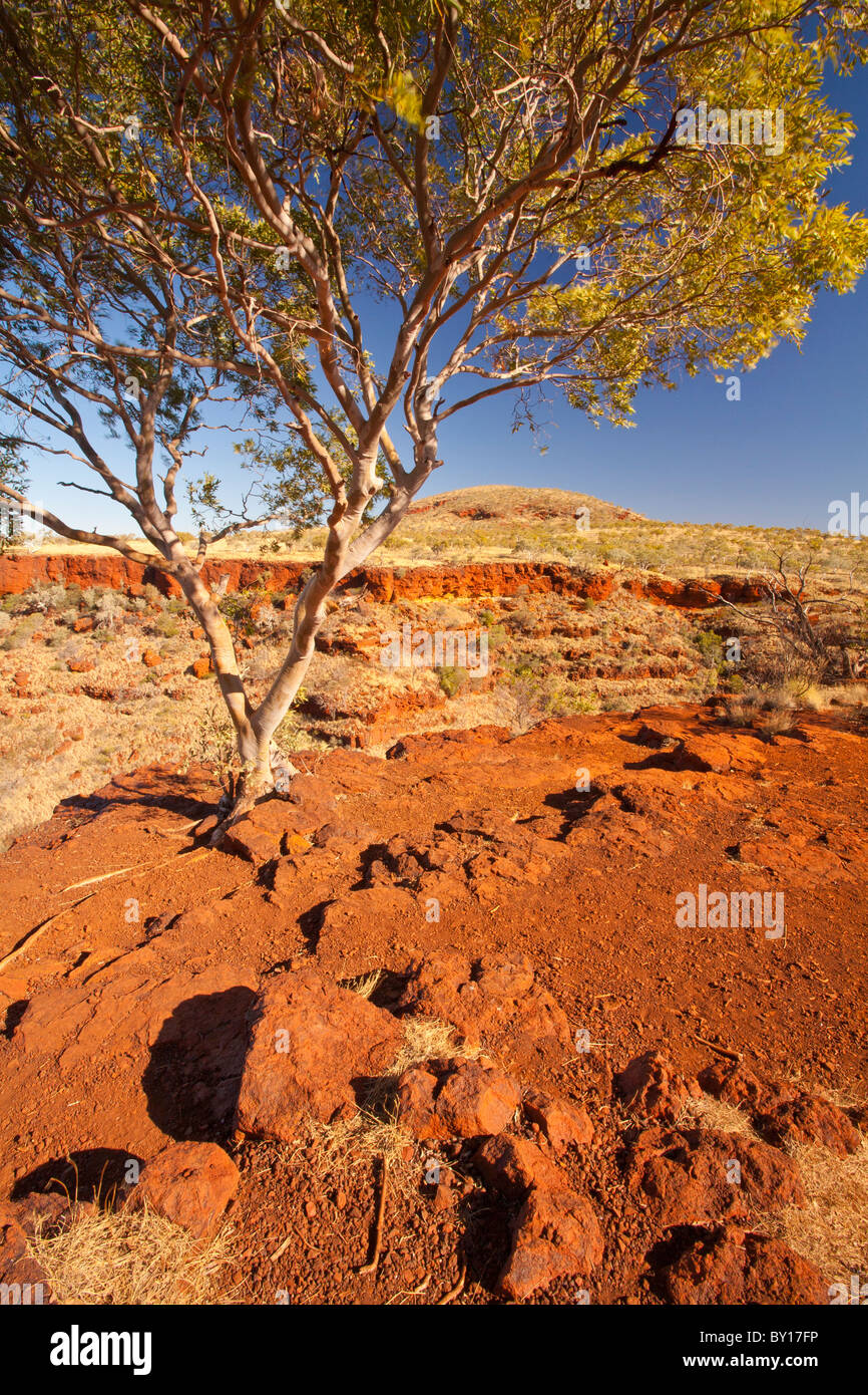 Pilbara australia mountains hi-res stock photography and images - Alamy