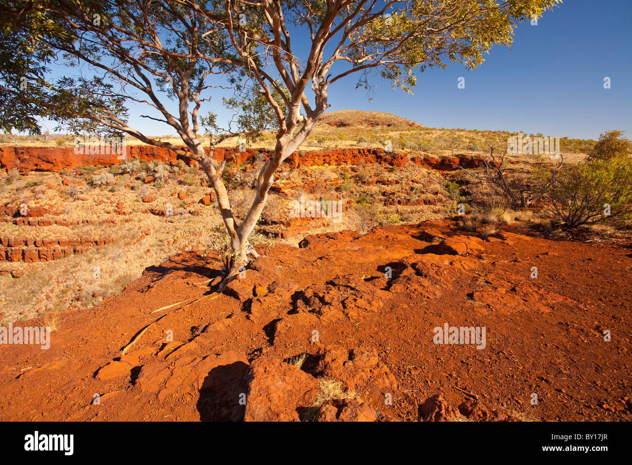 Canyons of karijini national park hi-res stock photography and images ...