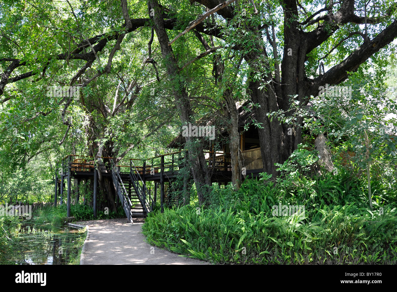 moremi resort, Moremi National Park, Botswana Stock Photo - Alamy