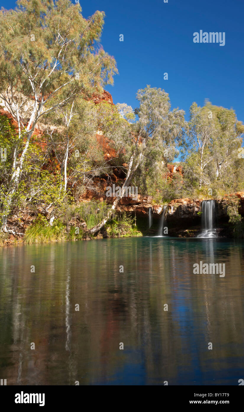 Fern Pool in Dales Gorge, Karijini National Park, Pilbara, Western ...