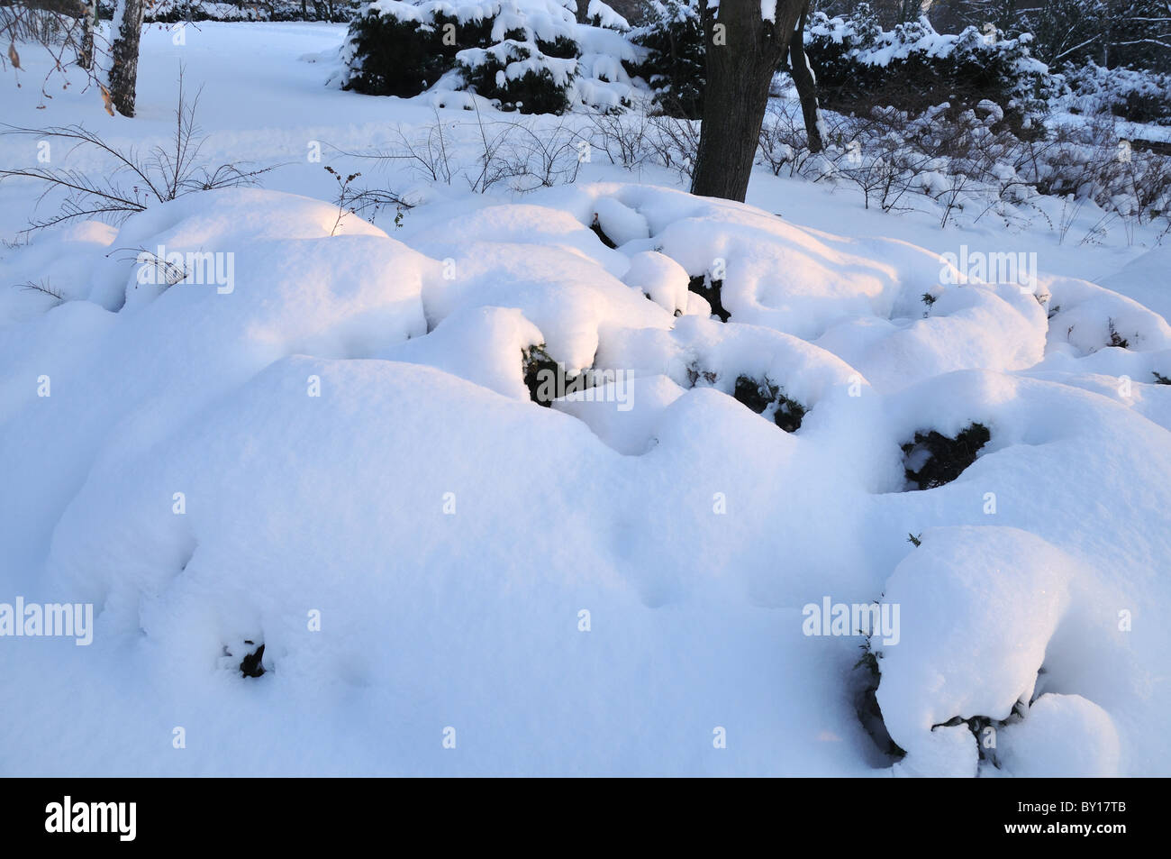 Freshly fallen snow Stock Photo - Alamy
