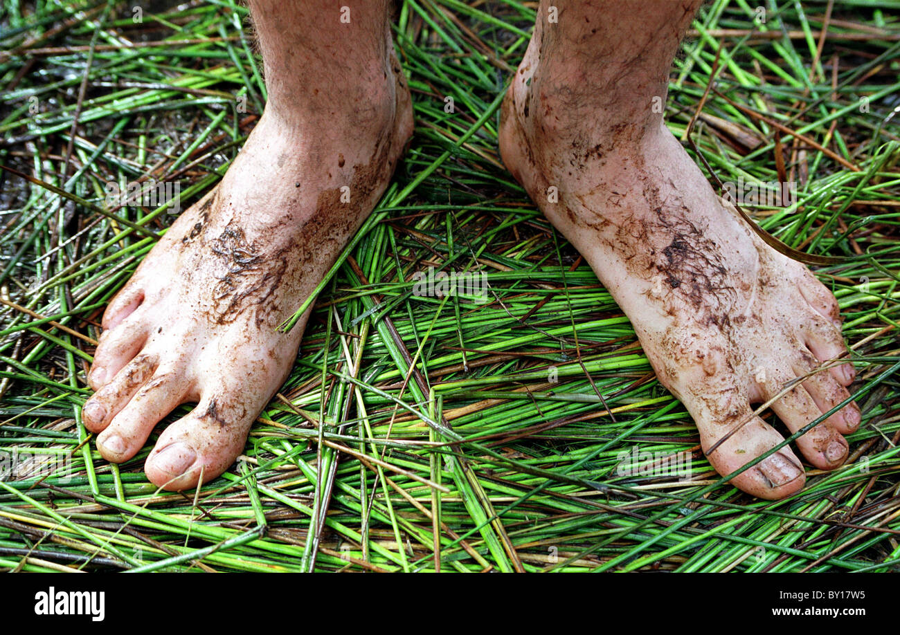 The Bog Snorkeling World Championships, Llanwrtyd Wells, Mid Wales ...