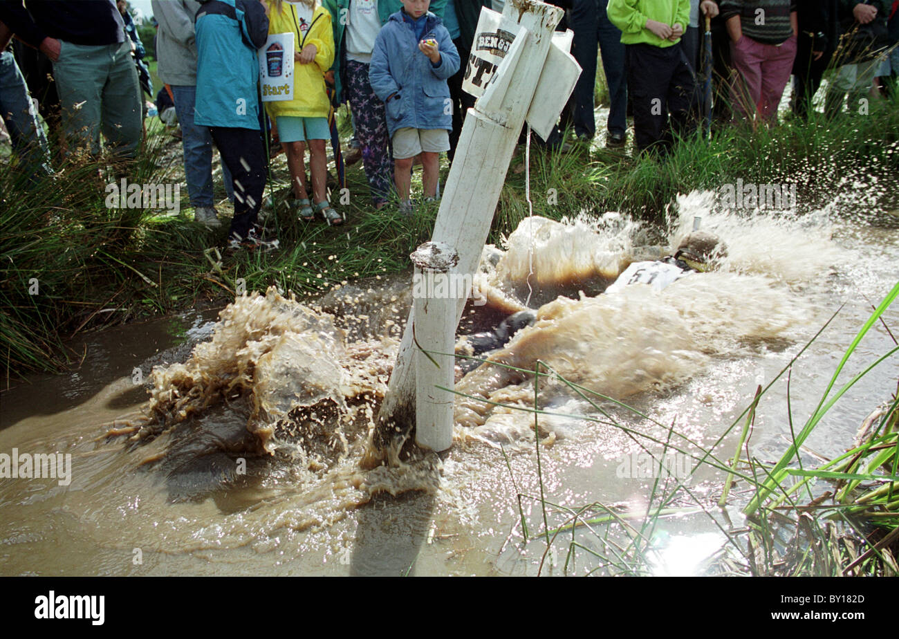 The Bog Snorkeling World Championships, Llanwrtyd Wells, Mid Wales ...