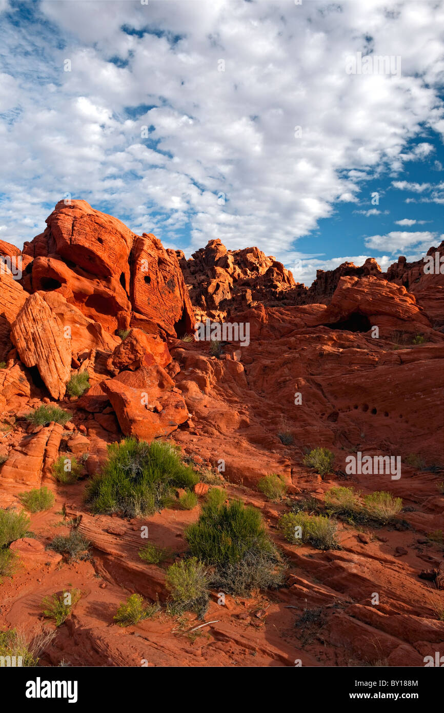 The Jumble of Rocks contains numerous caves and large boulders in ...