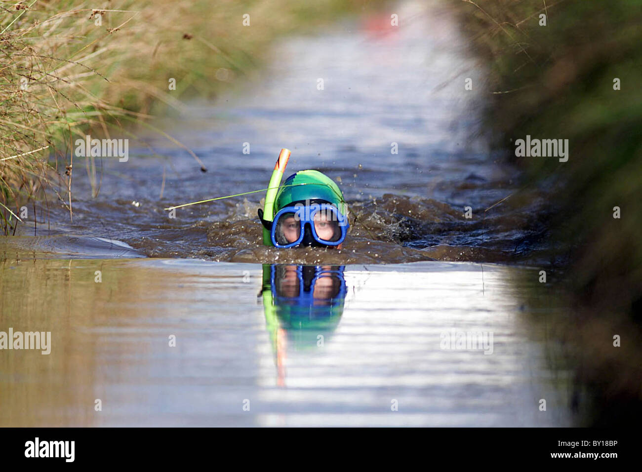 The Bog Snorkeling World Championships, Llanwrtyd Wells, Mid Wales ...