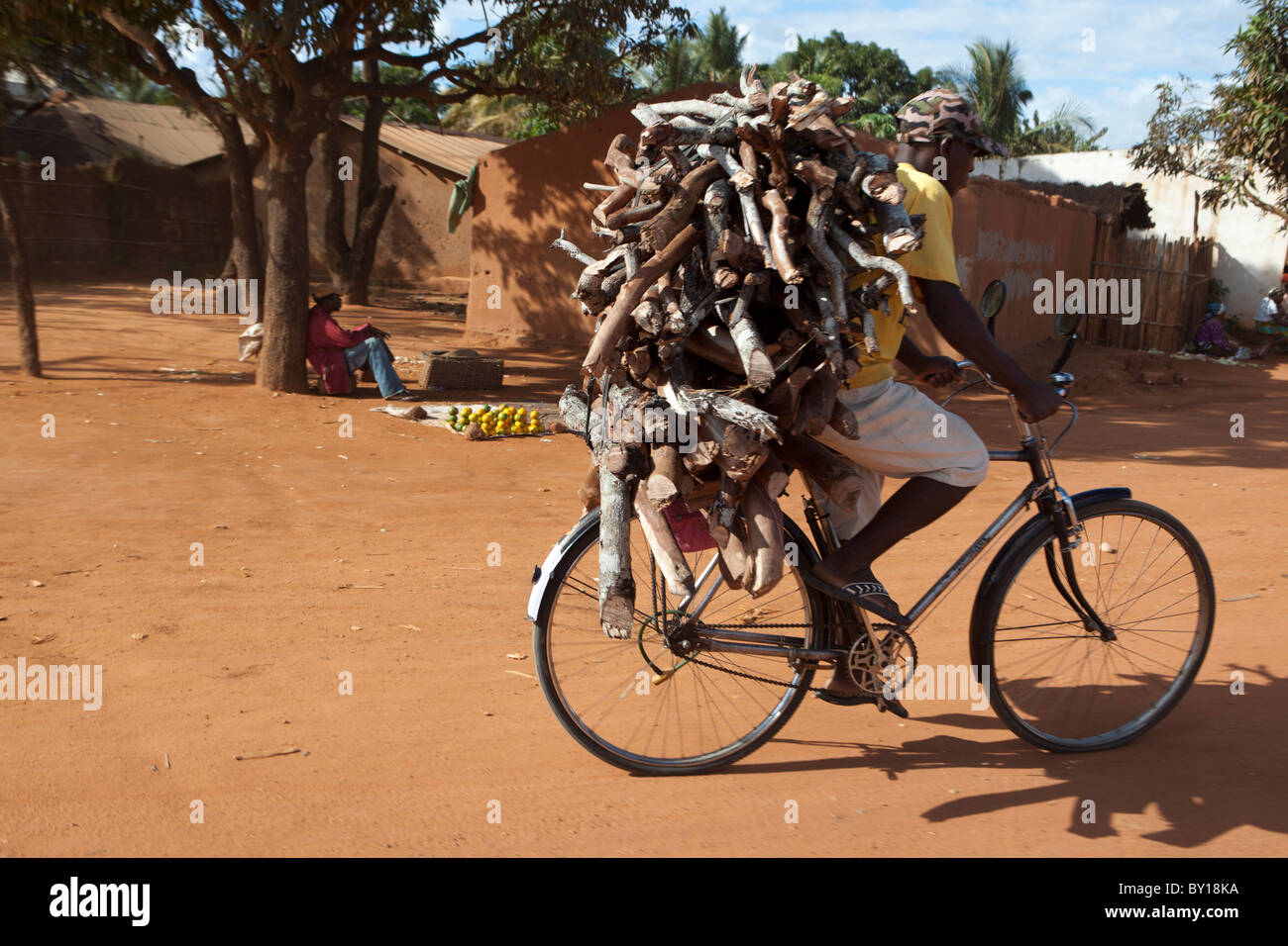 VILLAGE NEAR NAMPULA, MOZAMBIQUE, May 2010 : Bringing home firewood by ...