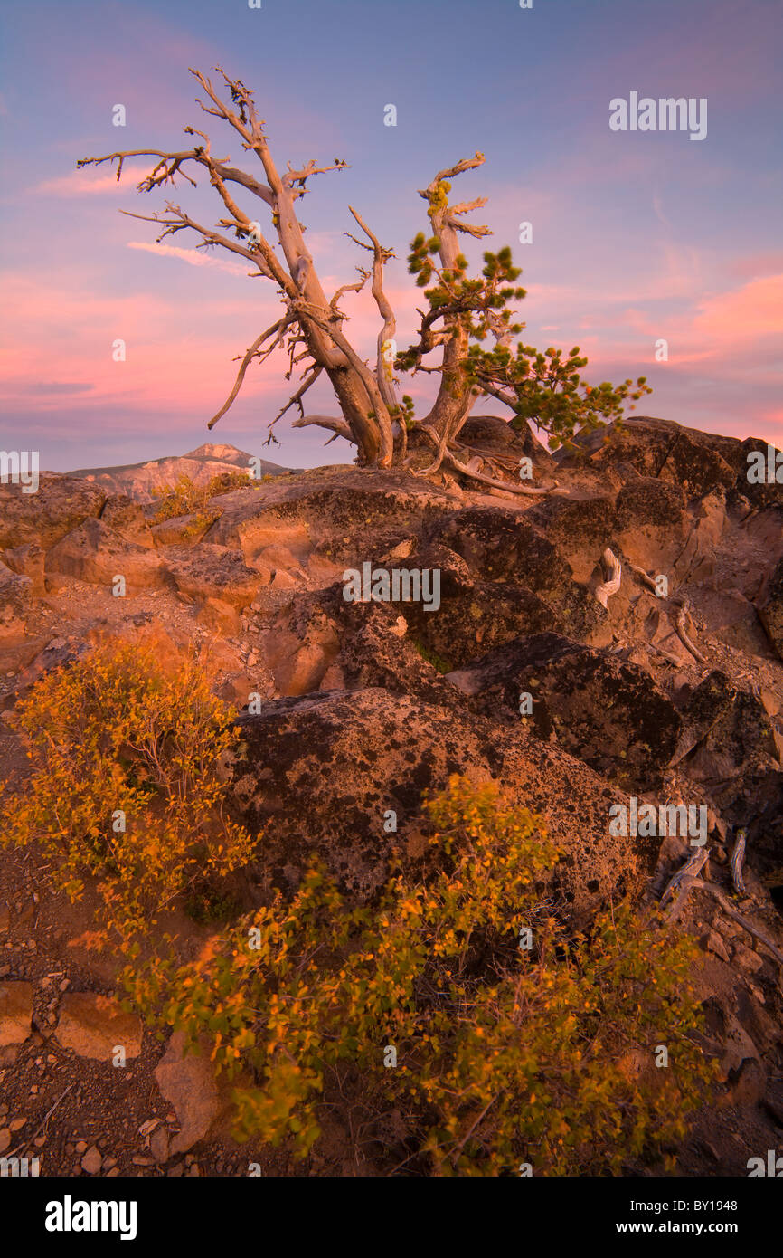 Old caldera lake hi-res stock photography and images - Alamy