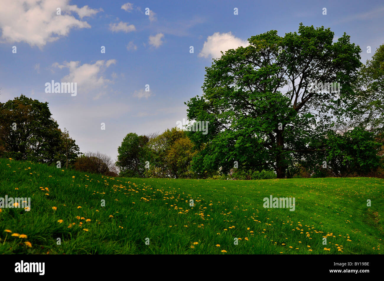 The colors of summer Stock Photo - Alamy