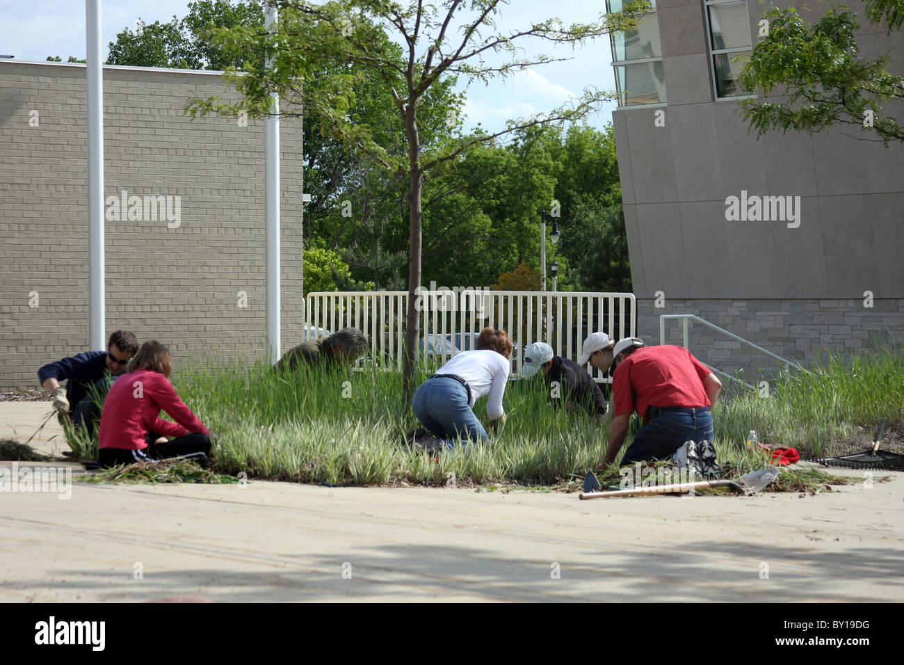 Person pulling weeds hi-res stock photography and images - Alamy