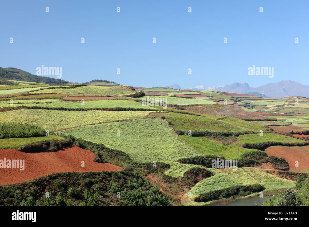 Red Land Soil, Dongchuan, Yunnan Province, China Stock Photo - Alamy