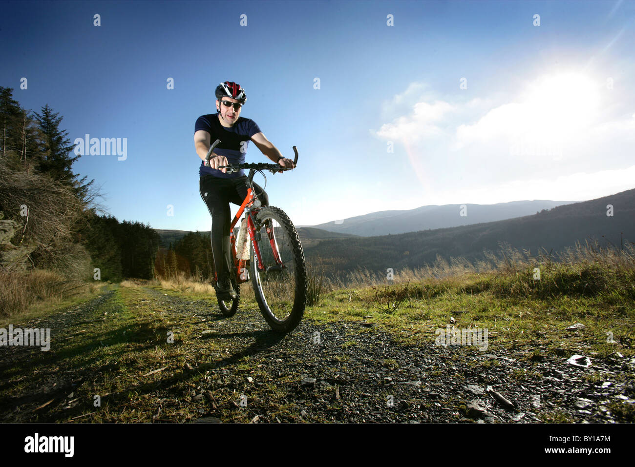 Mountain Biking on the Penmachno Bike Trails, near Betws-y-Coed ...