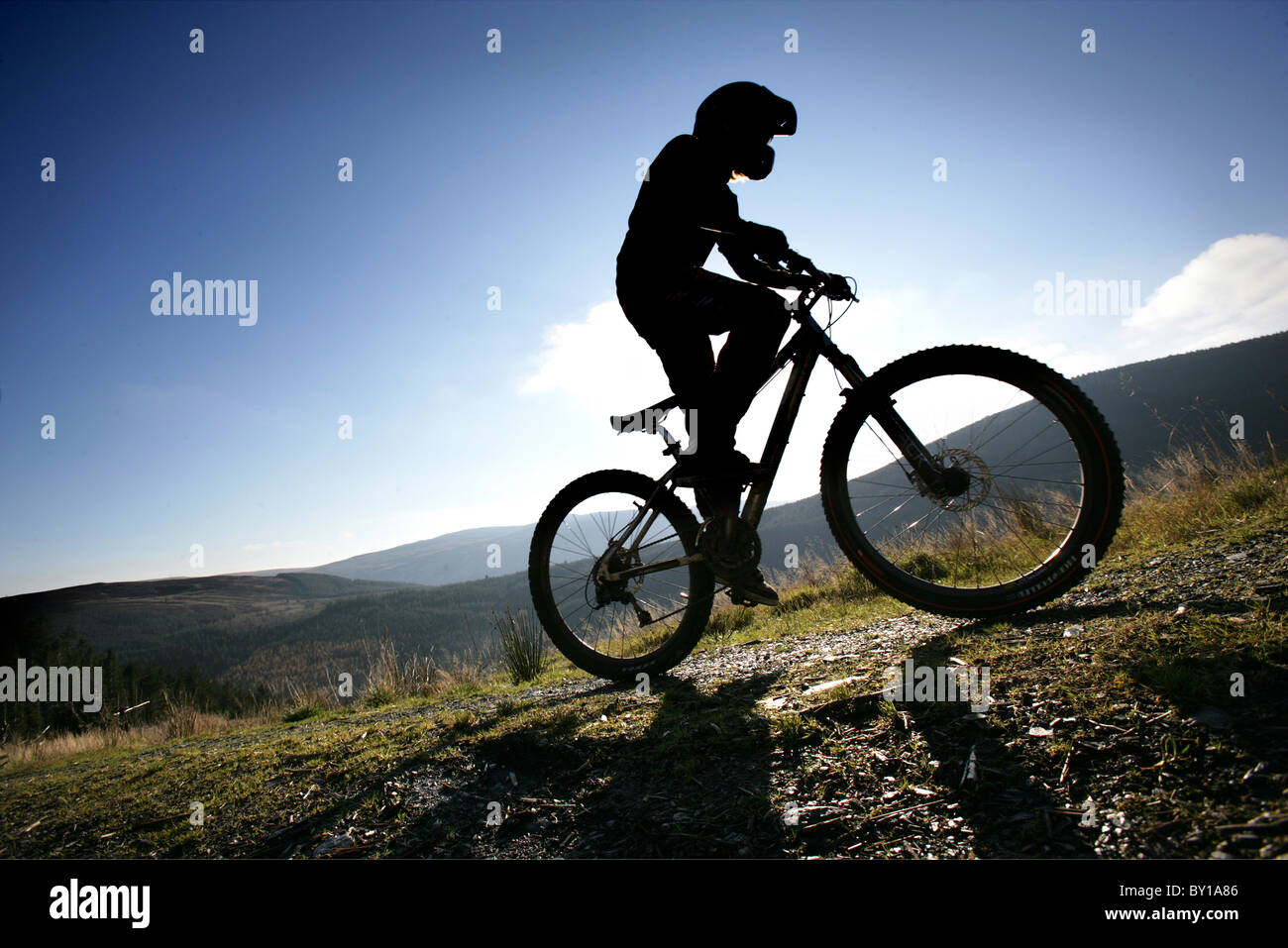 Mountain Biking on the Penmachno Bike Trails, near Betws-y-Coed ...
