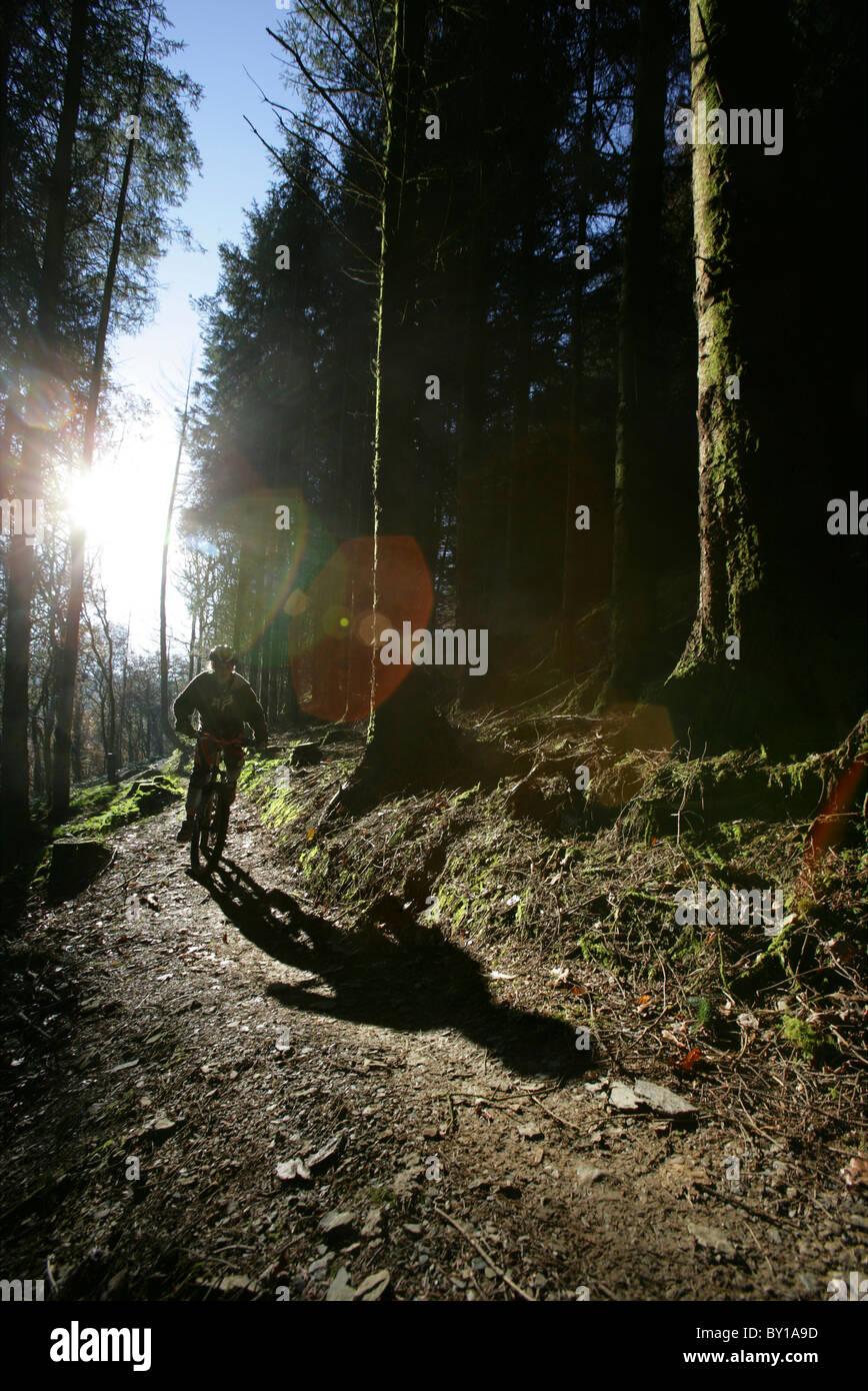 Mountain Biking on the Penmachno Bike Trails, near Betws-y-Coed ...
