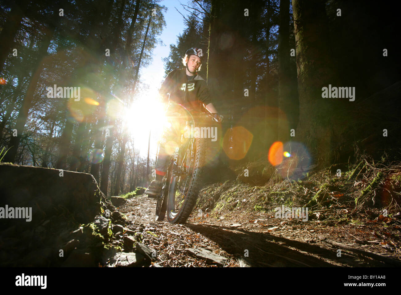 Penmachno bike trails hi-res stock photography and images - Alamy