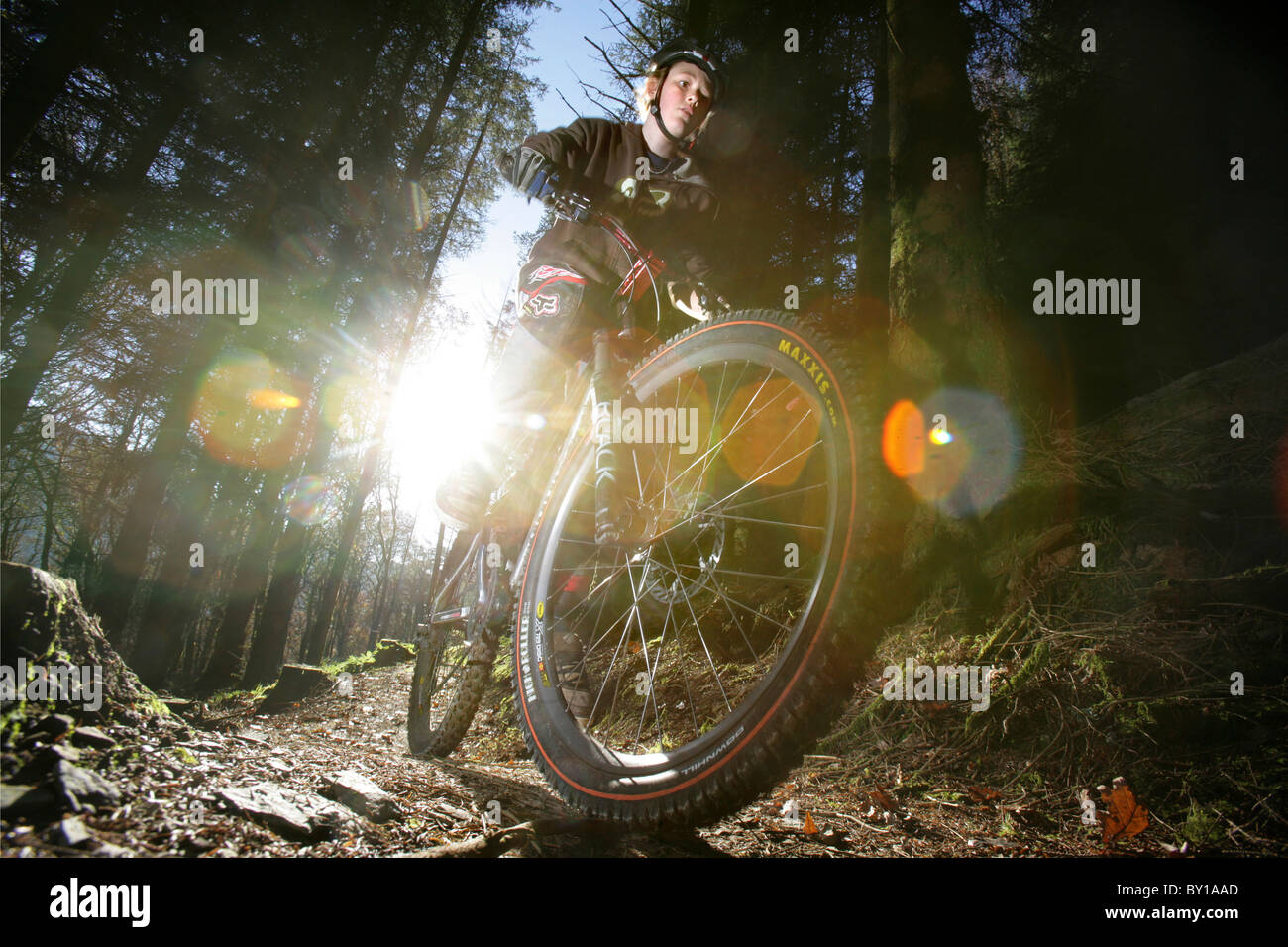 Penmachno bike trails hi-res stock photography and images - Alamy