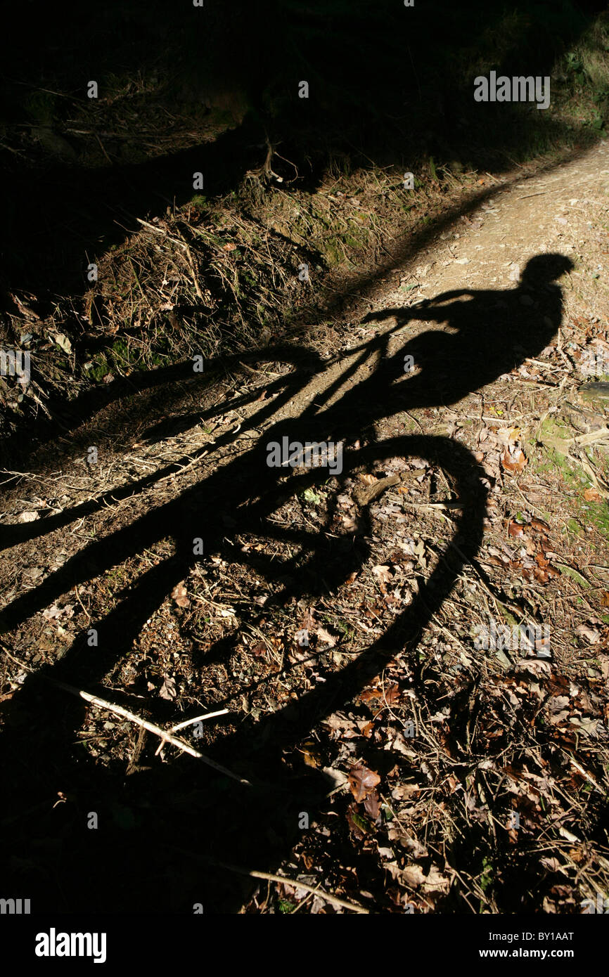 Penmachno bike trails hi-res stock photography and images - Alamy