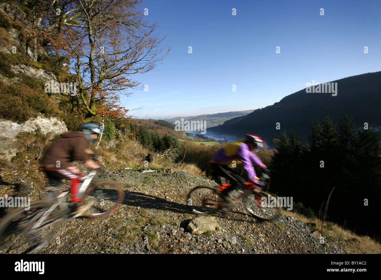 Mountain Biking on the Penmachno Bike Trails, near Betws-y-Coed ...