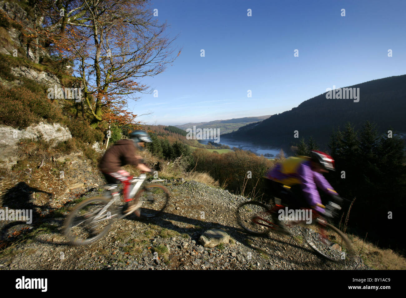 Mountain Biking on the Penmachno Bike Trails, near Betws-y-Coed ...
