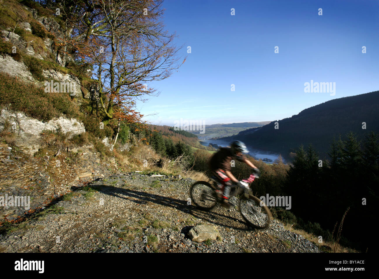 Mountain Biking on the Penmachno Bike Trails, near Betws-y-Coed ...