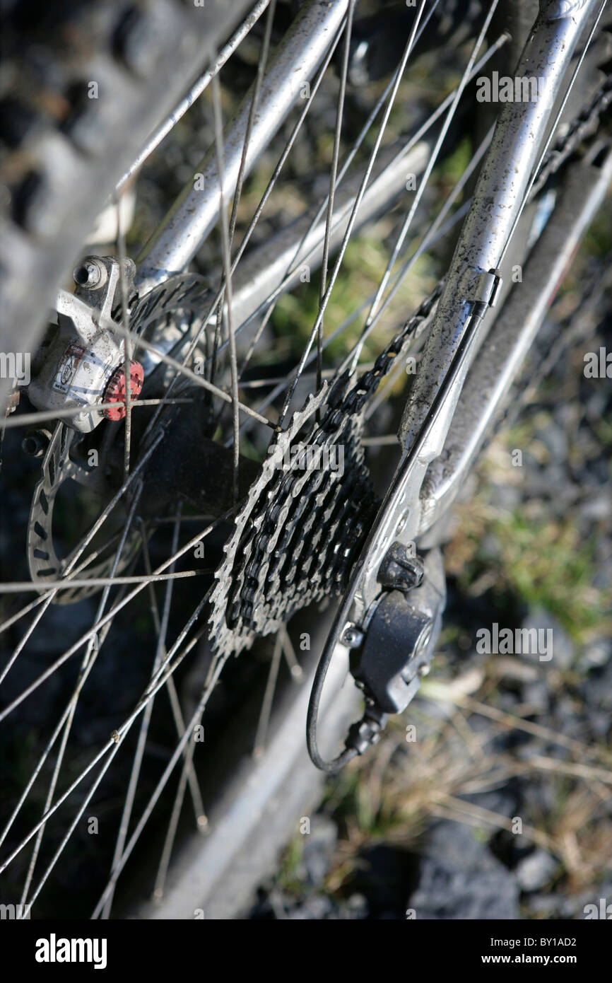 Mountain Biking on the Penmachno Bike Trails, near Betws-y-Coed ...
