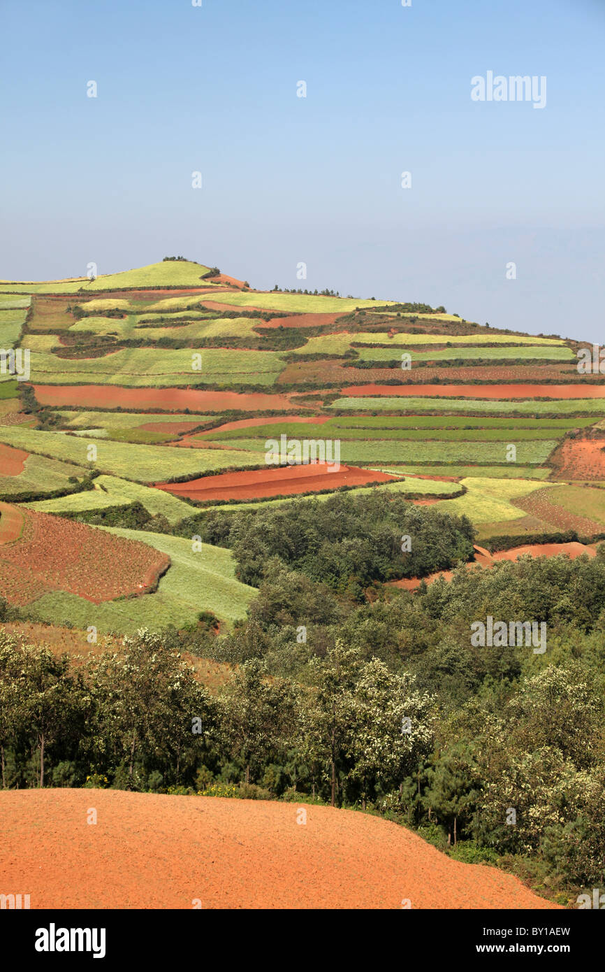 Red Land Soil, Dongchuan, Yunnan Province, China Stock Photo - Alamy