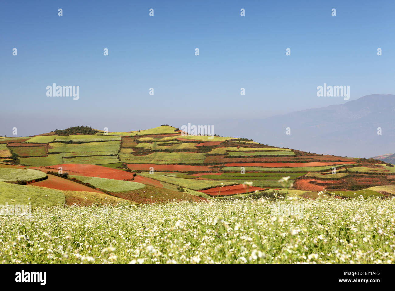 Red Land Soil, Dongchuan, Yunnan Province, China Stock Photo - Alamy