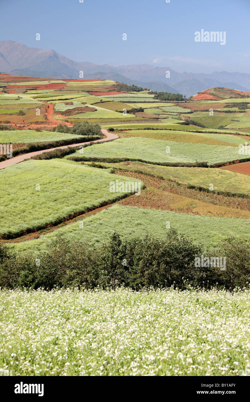 Red Land Soil, Dongchuan, Yunnan Province, China Stock Photo - Alamy
