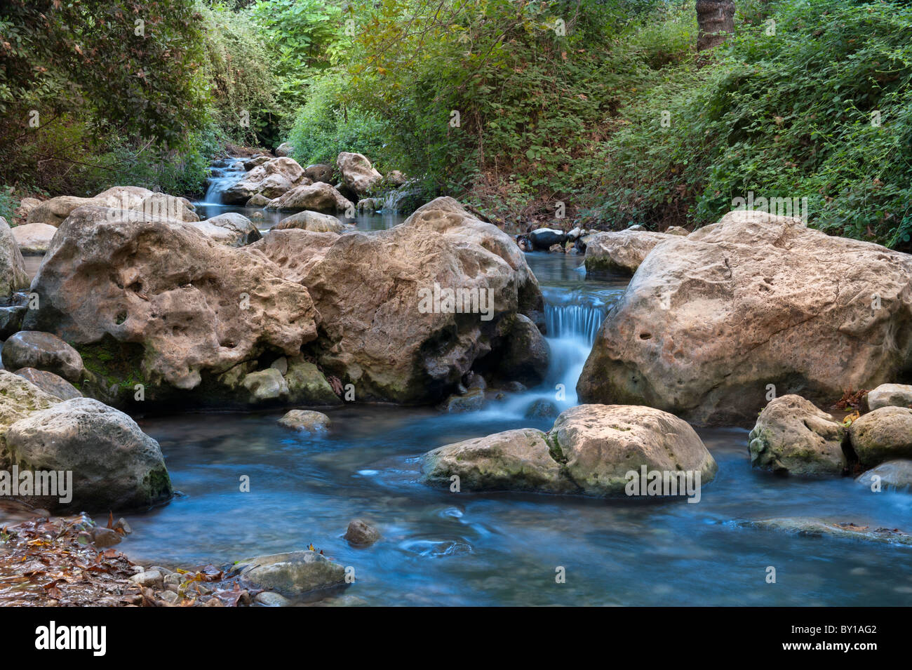 Stream with rocks in motion blur at Kziv river in the Galilee northern ...