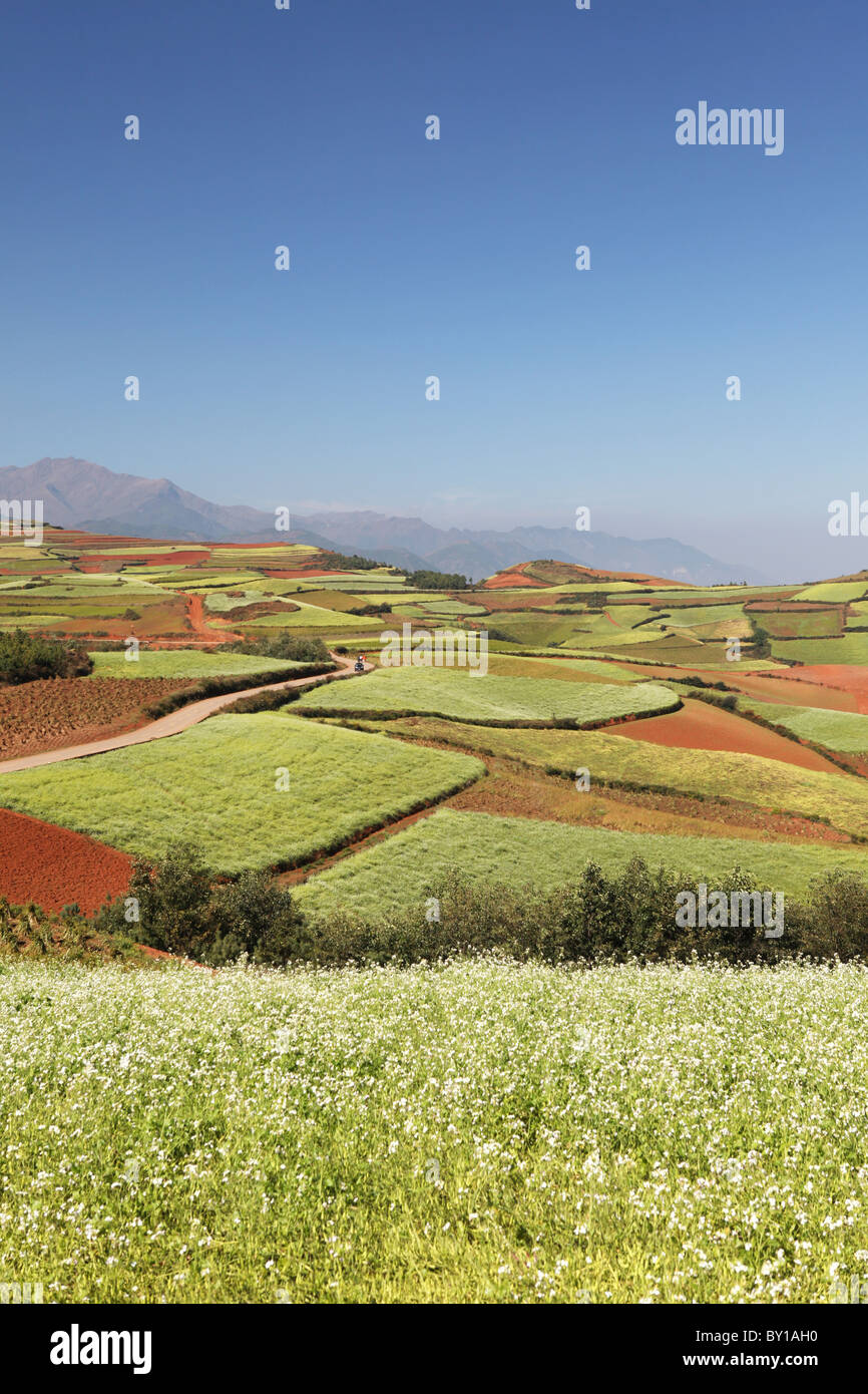 Red Land Soil, Dongchuan, Yunnan Province, China Stock Photo - Alamy