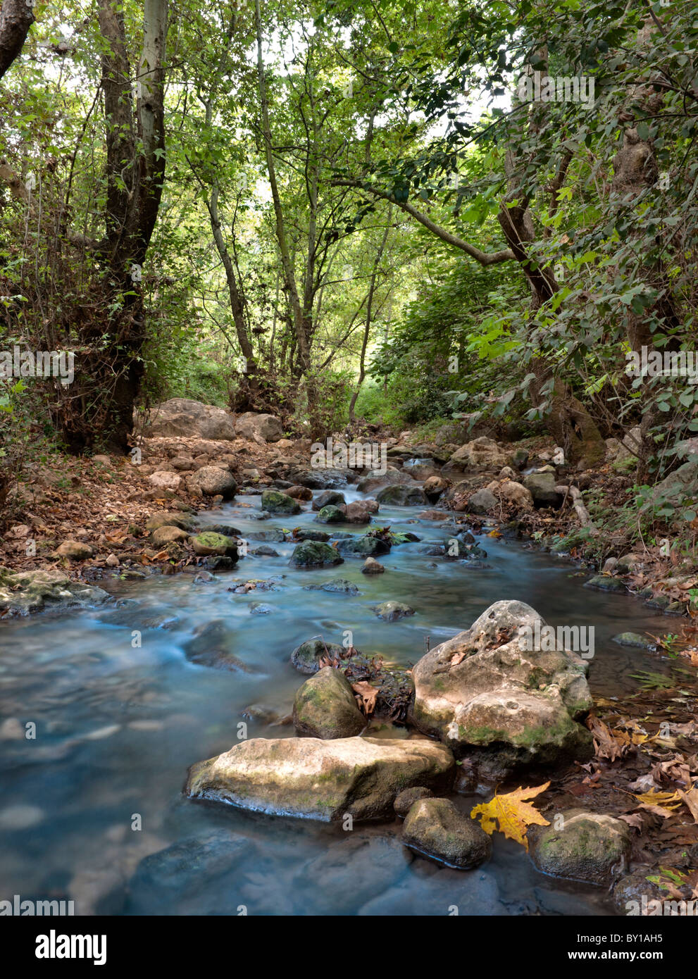 Stream with rocks in motion blur at Kziv river in the Galilee northern ...