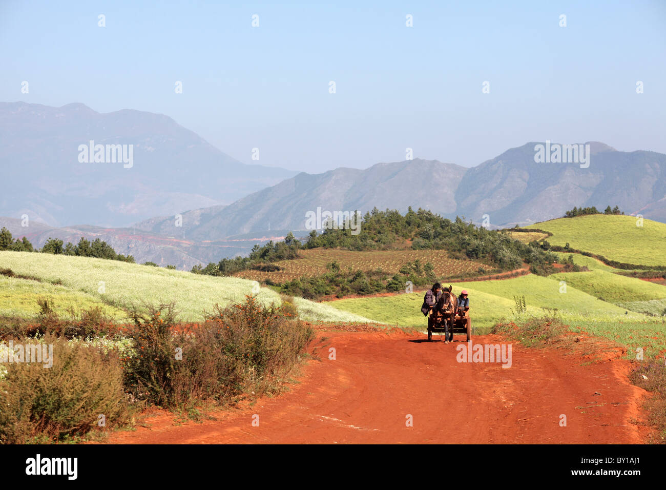 Red Land Soil, Dongchuan, Yunnan Province, China, Horse Car Stock Photo ...