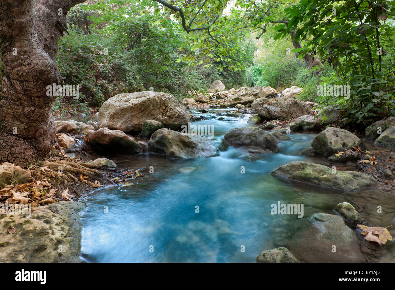 Stream with rocks in motion blur at Kziv river in the Galilee northern ...