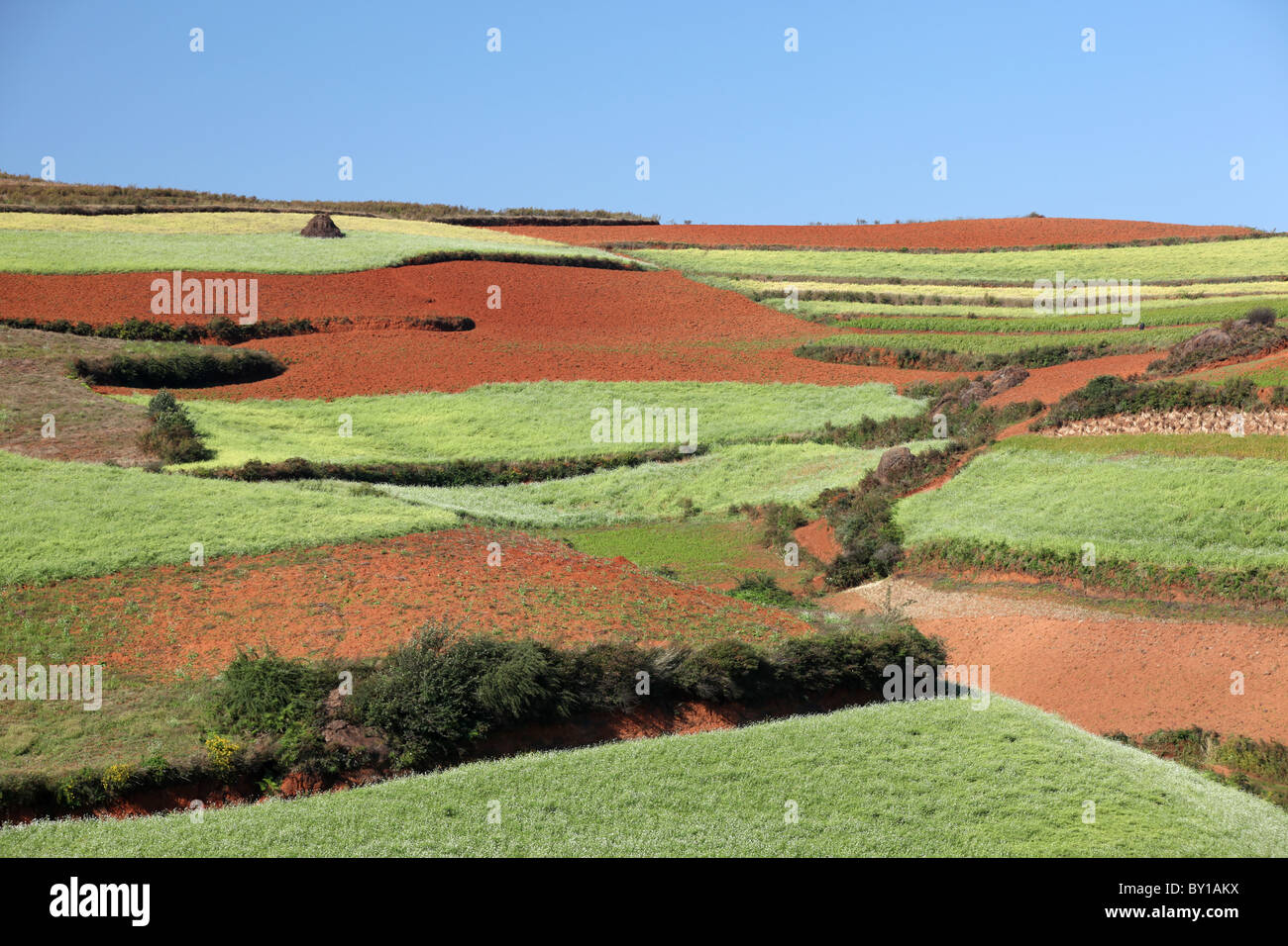 Red Land Soil, Dongchuan, Yunnan Province, China Stock Photo - Alamy