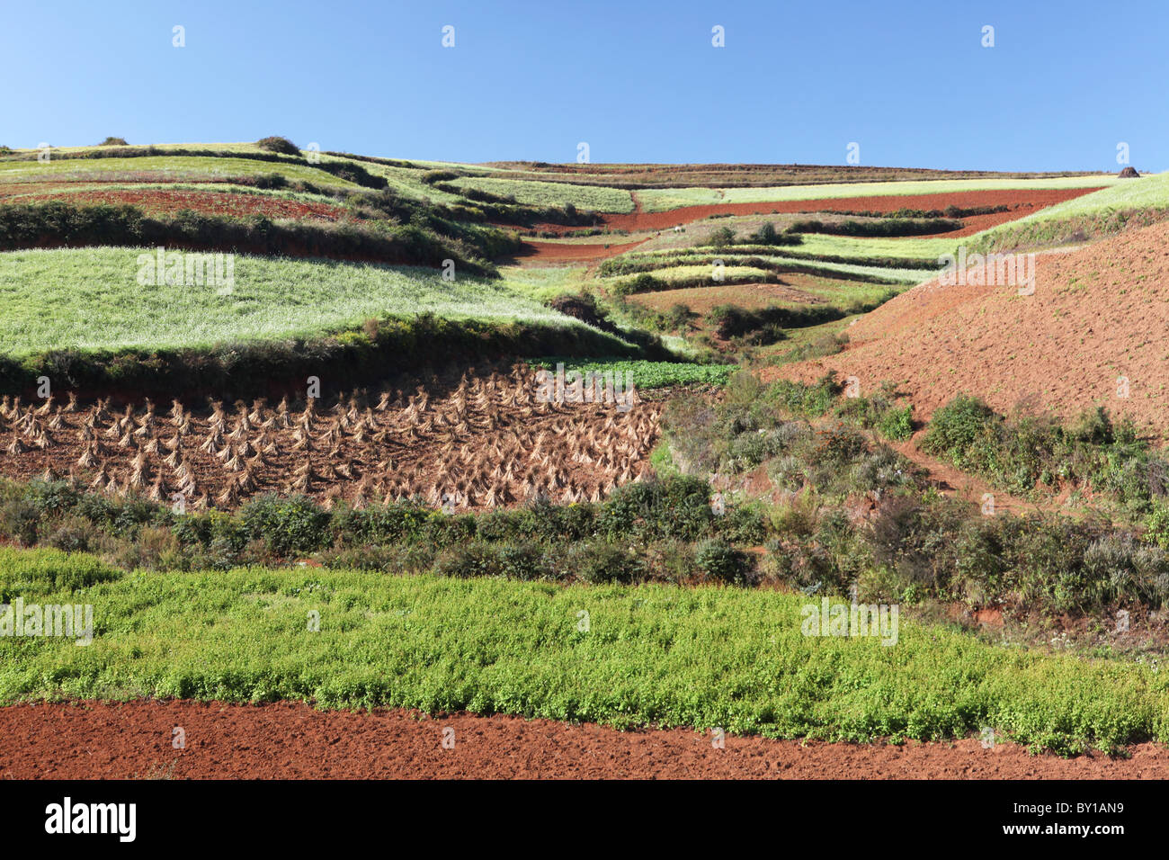 Red Land Soil, Dongchuan, Yunnan Province, China Stock Photo - Alamy