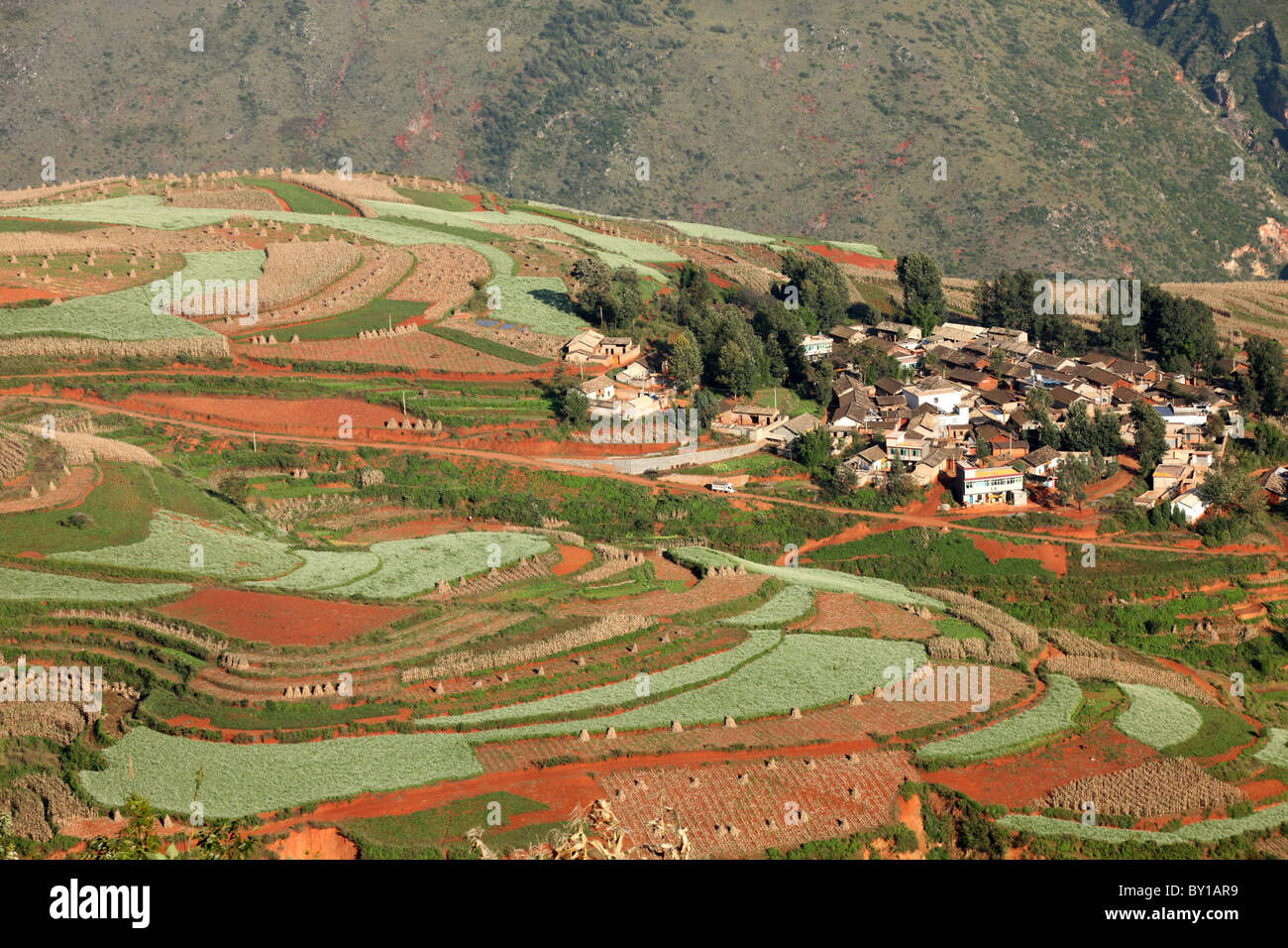 Red Land Soil, Dongchuan, Yunnan Province, China Stock Photo - Alamy