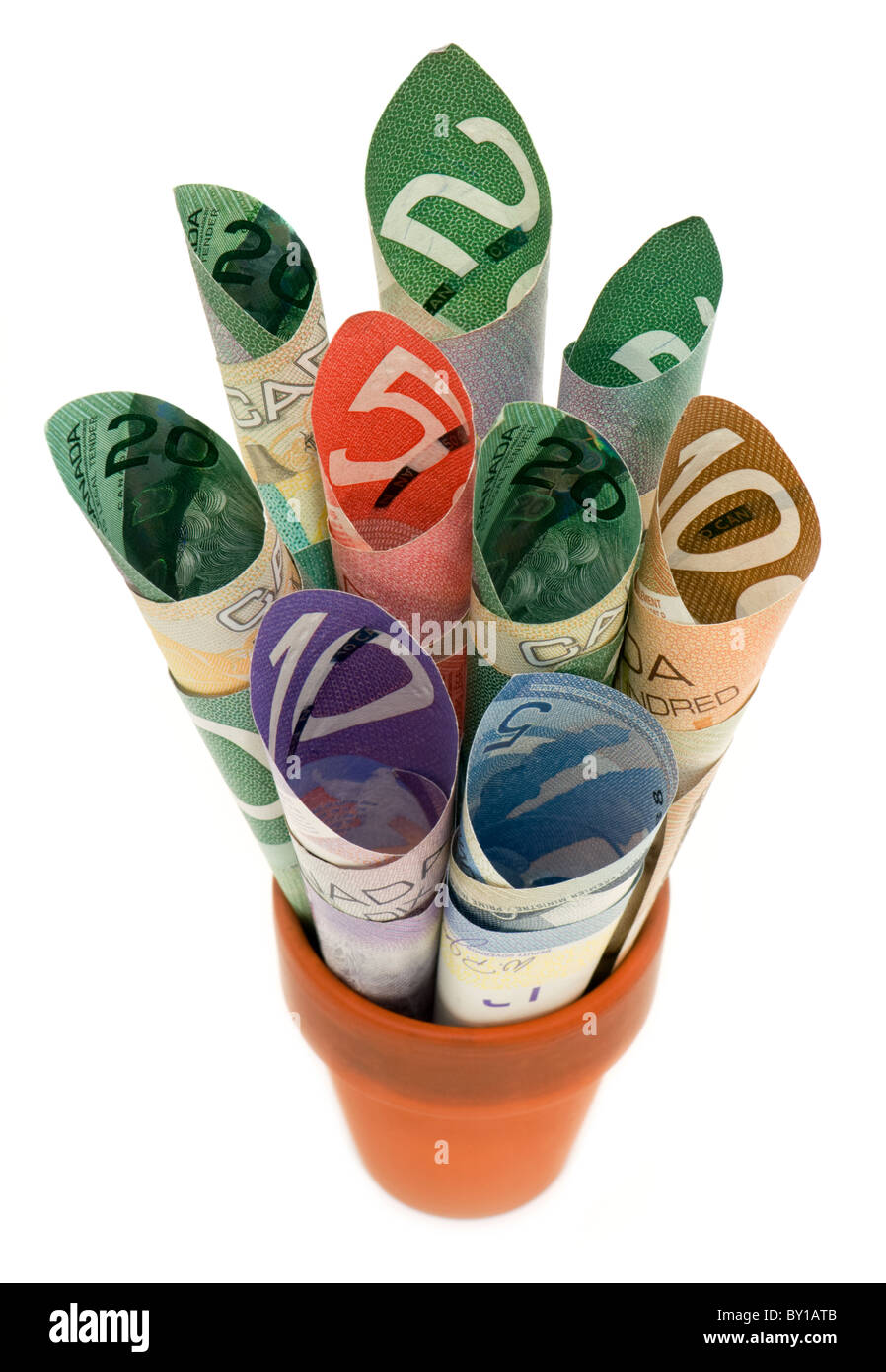Rolled up Canadian cash in a terracotta pot Stock Photo - Alamy