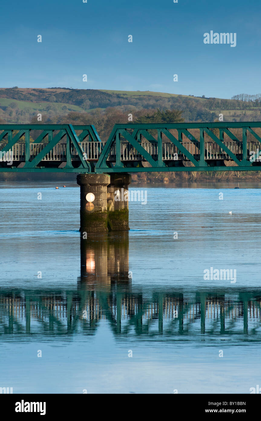 A railway bridge across the Shannon river seen from King's Island in ...