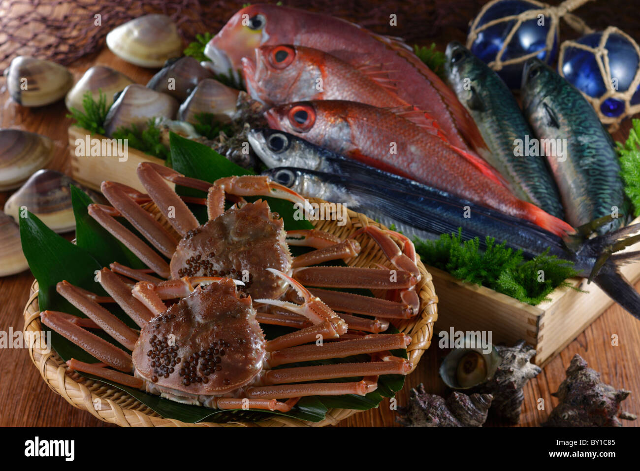 Seafood of San'in region Stock Photo - Alamy