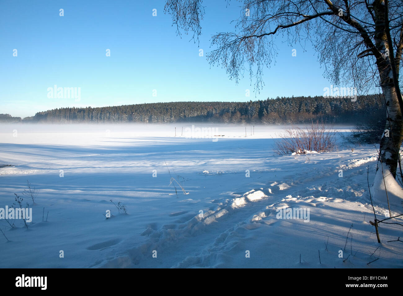 Misty morning over pine hi-res stock photography and images - Alamy
