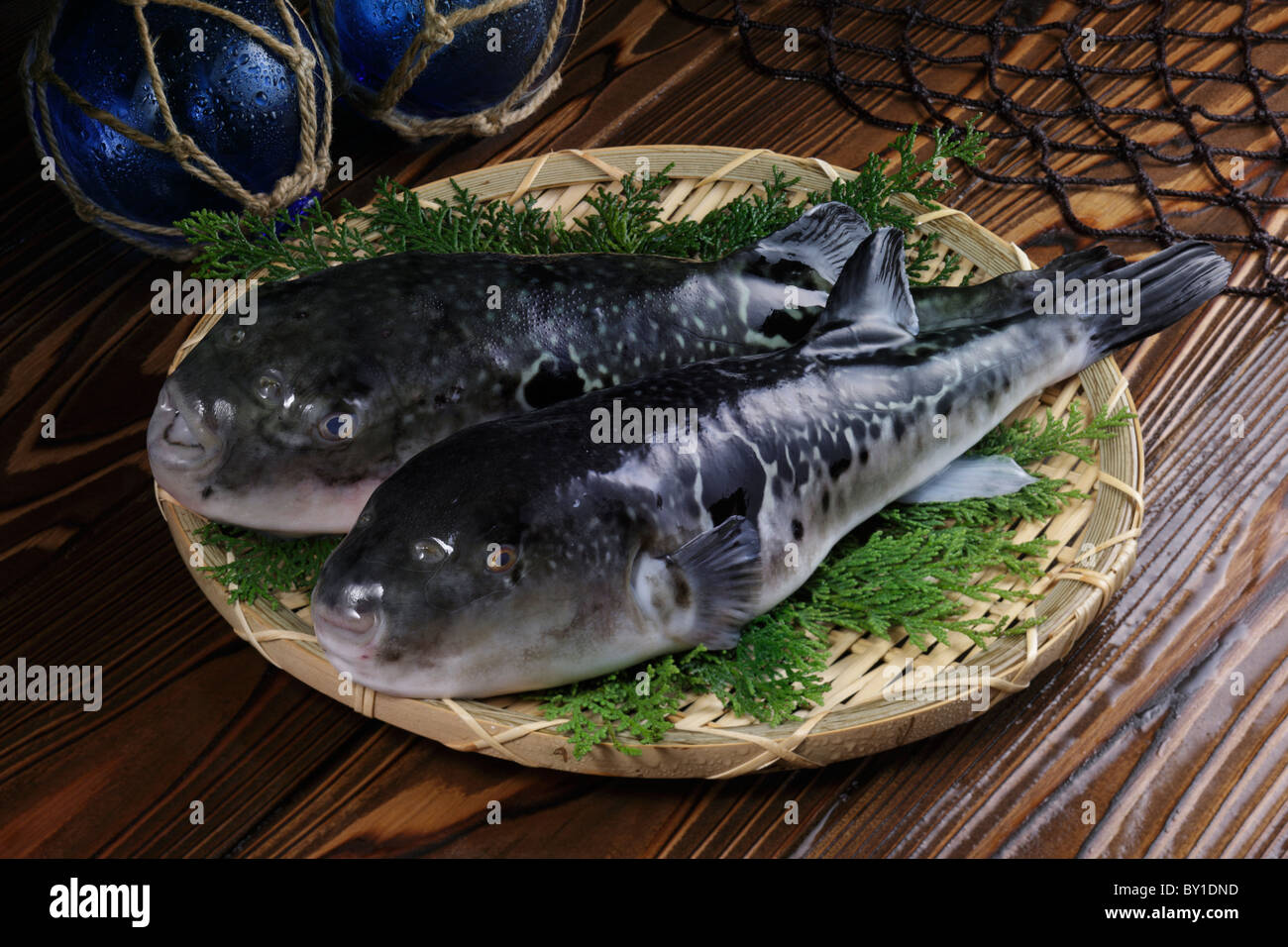 Torafugu hi-res stock photography and images - Alamy
