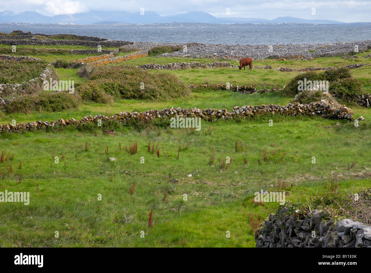 Aran islands stone walls hi-res stock photography and images - Alamy