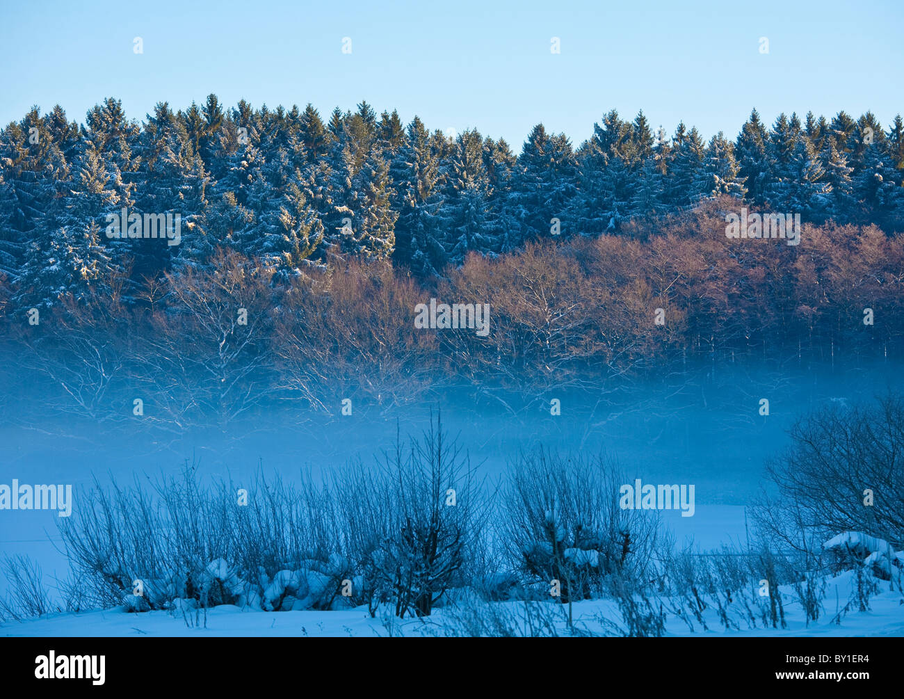 Early morning mist Stock Photo - Alamy