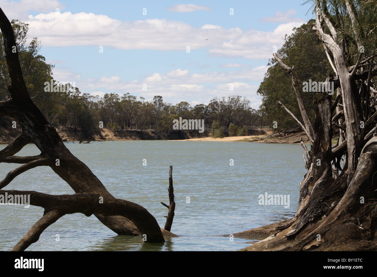 Australian river scene Stock Photo - Alamy