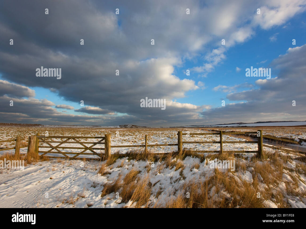 Grazing Marshes at Salthouse North Norfolk Winter Stock Photo - Alamy